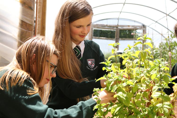 Careers at Chew Valley School - Bristol, United Kingdom, BS40 8QB | eteach